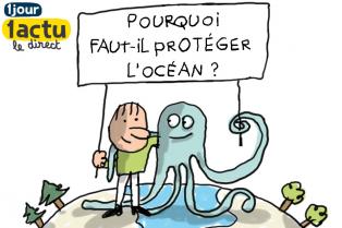 CE2 CM1 CM2 : Webinaire « Pourquoi protéger les Océans » - École Coat ...
